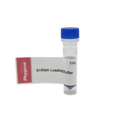 PH0224 | 5×RNA上样缓冲液 5×RNA Loading Buffer_核酸电泳_核酸试剂_飞净(PHYGENE)科研试剂